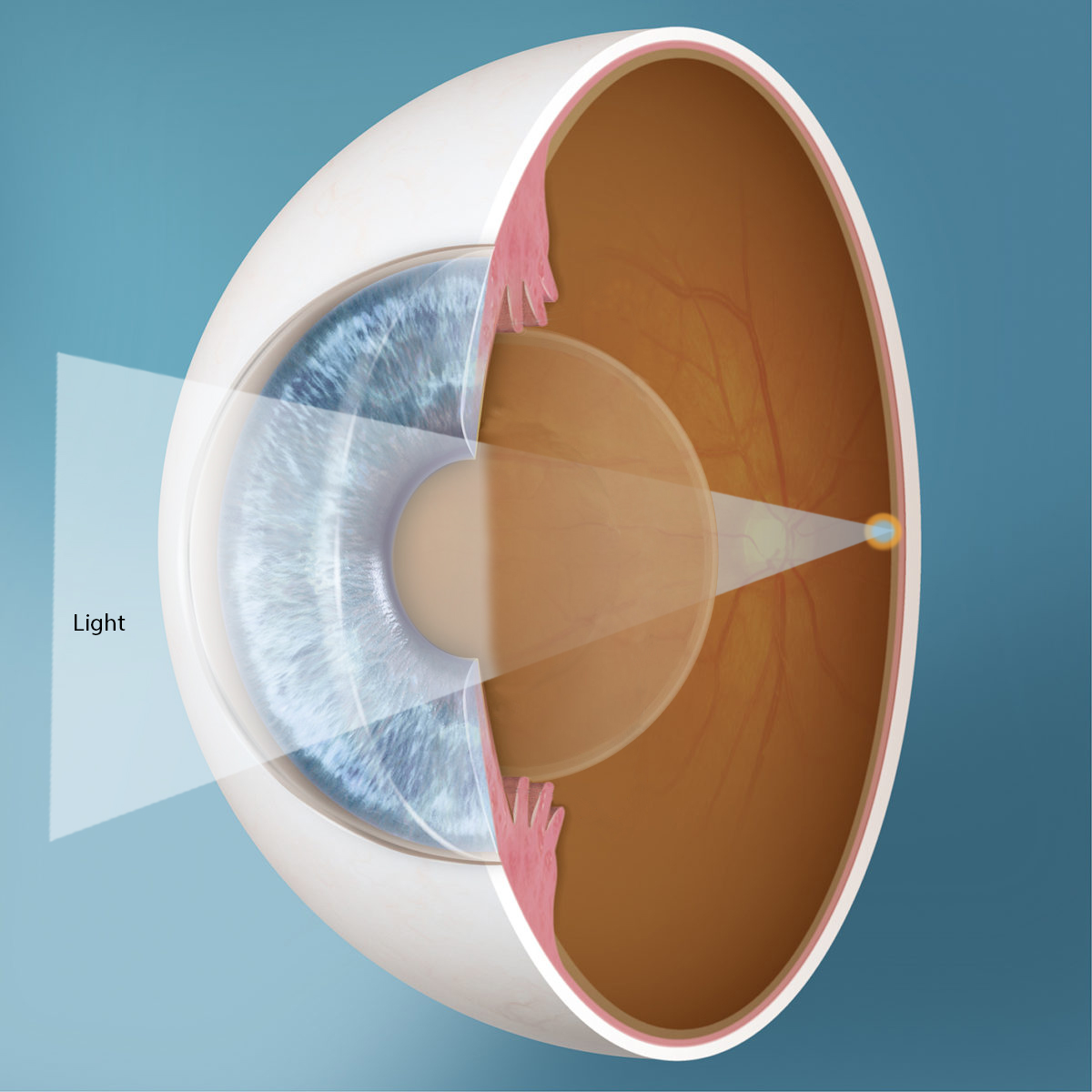 The Preferred Eye Care Specialists Centre in Kuala Lumpur | AsiaEye